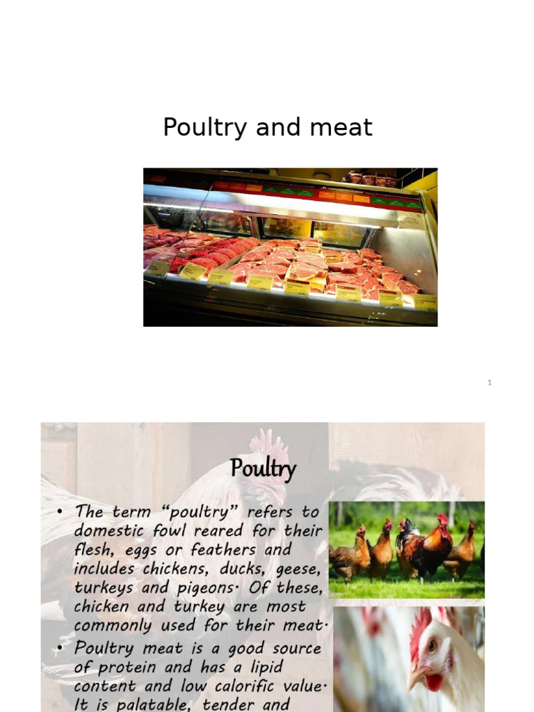 Understanding Meat and Poultry Types | PDF | Meat | Beef