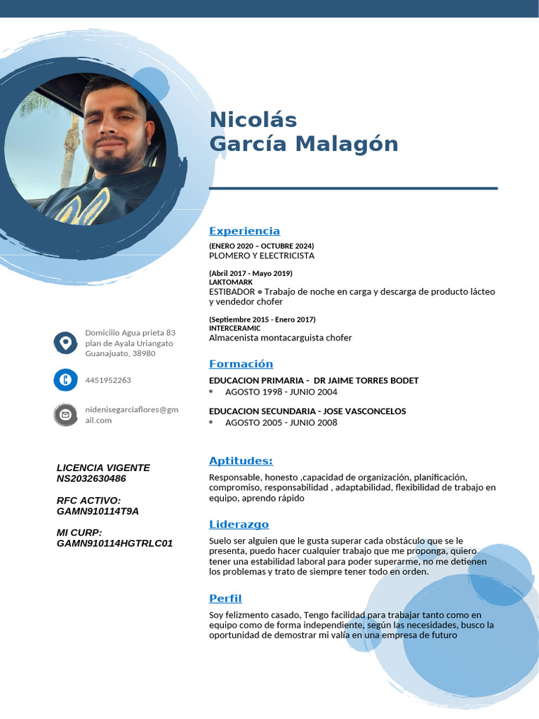 Nicolas CV | PDF
