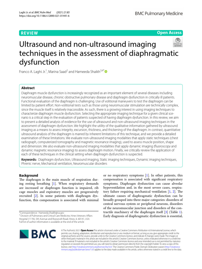 Ultrasound and Non-Ultrasound Imaging Techniques in The Assessment of ...
