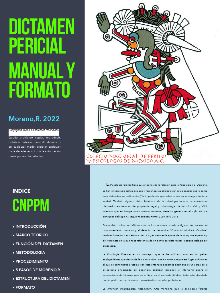 Manual de Dictamen Pericial en Psicología | PDF | Testigo experto ...
