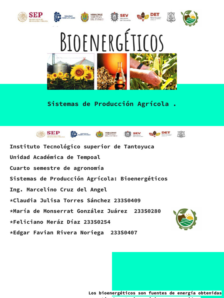 Bioenerg Ticos Sistema de Producci N Agr Cola | PDF | Biodiésel | Biocombustible