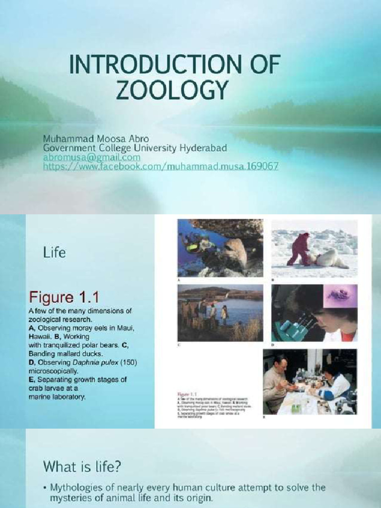 Introduction To Zoology | PDF