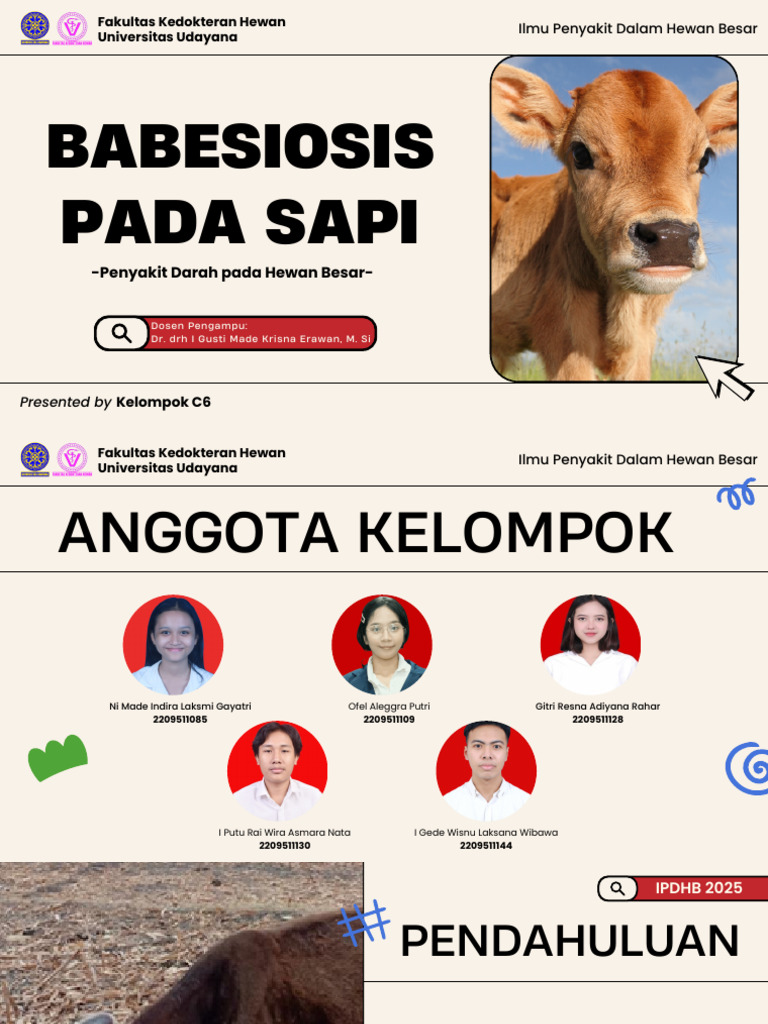 C6 - PPT Babesiosis Pada Sapi | PDF