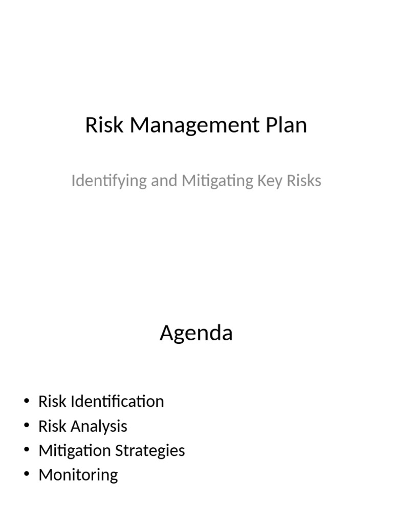 Risk Management Plan | PDF