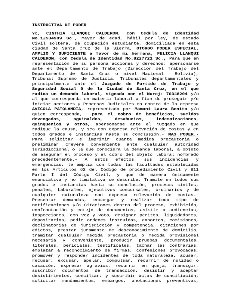 Instructiva de Poder Proceso Laboral | PDF | Demanda judicial | Separación de poderes
