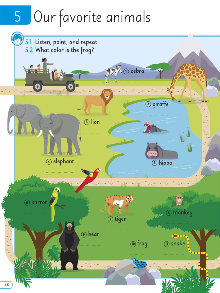 English For Everyone Junior Beginners-Trang-38 | PDF