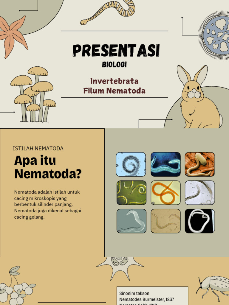 Presentasi 20250221 103746 0000 | PDF