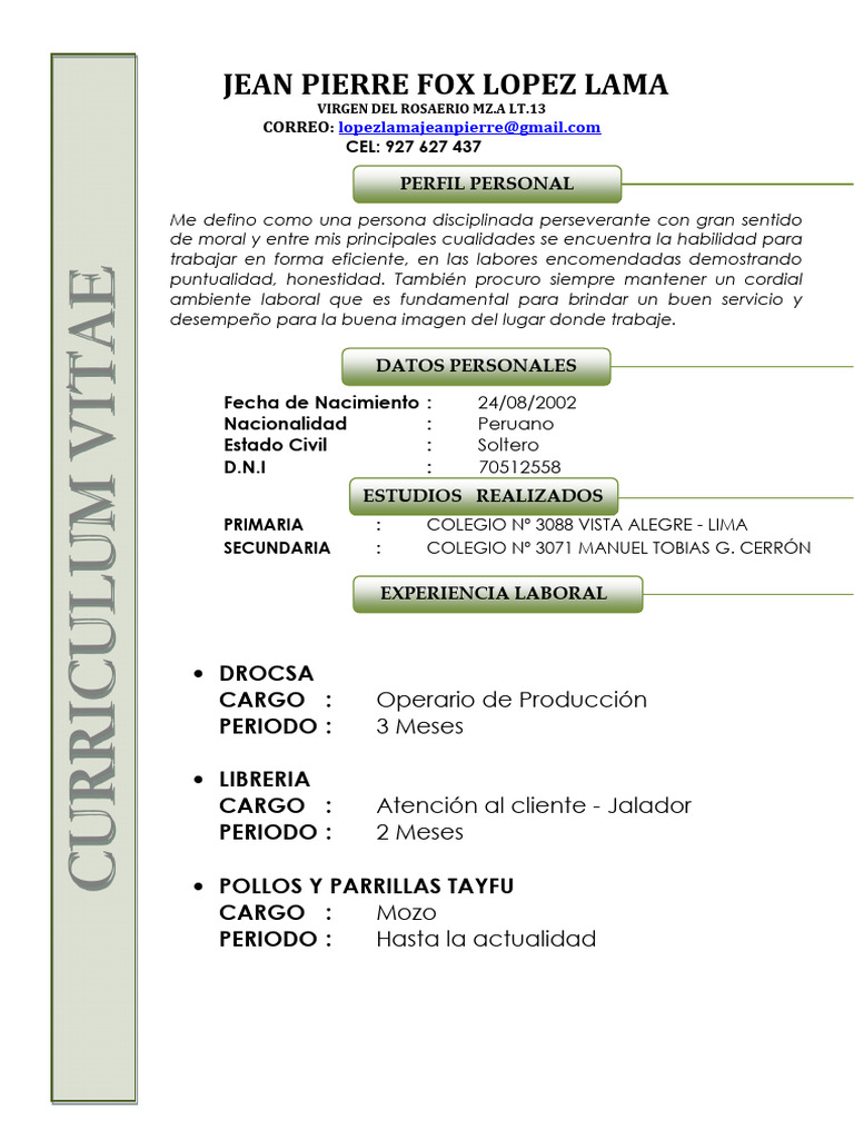 Curriculum Jean Pierre | PDF