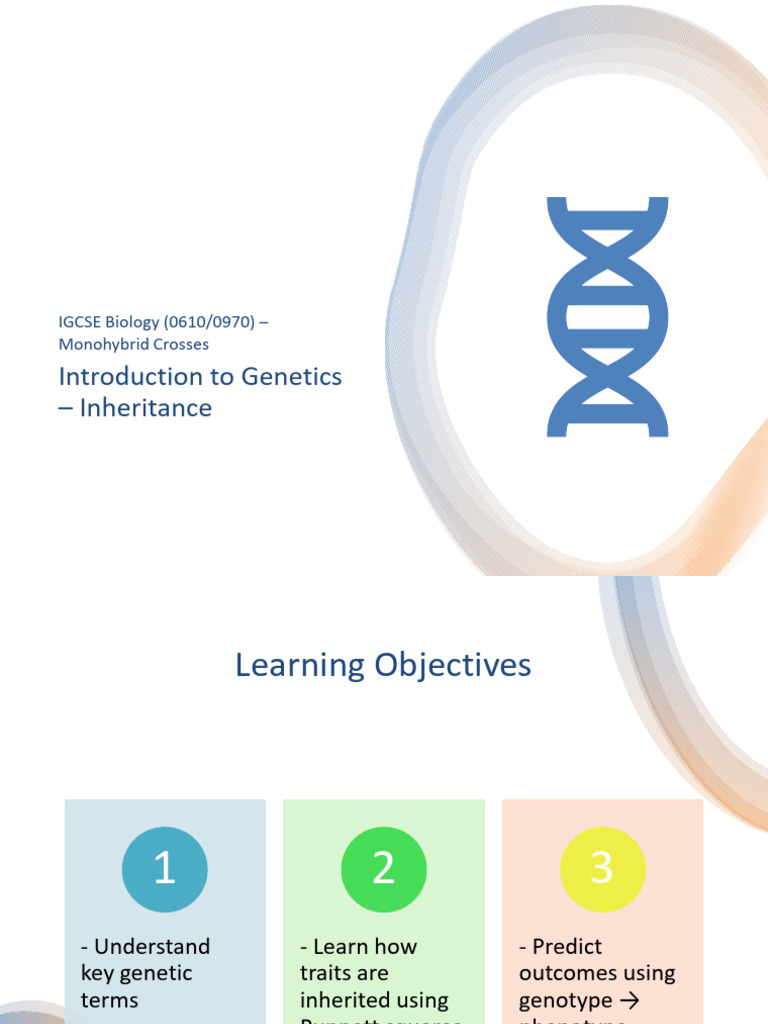 Mock Teaching IGCSE Biology Math | PDF | Genotype | Dominance (Genetics)