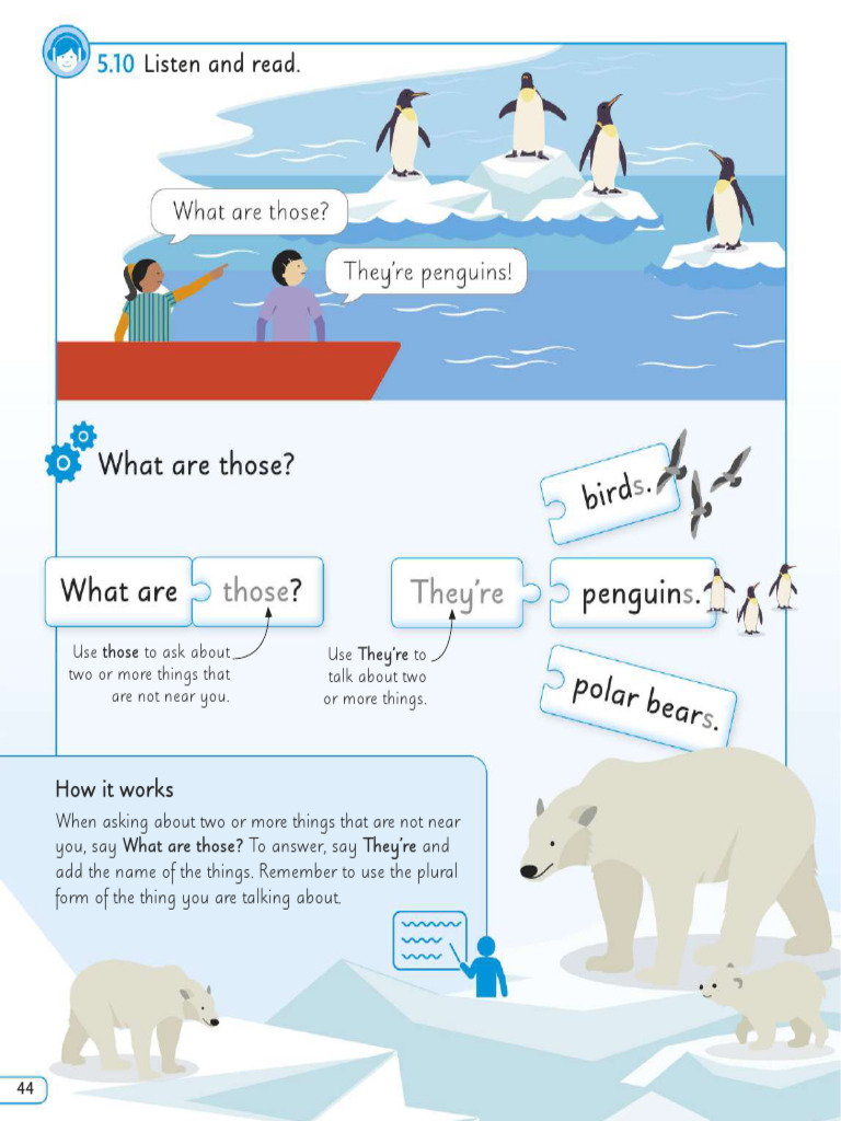 English For Everyone Junior Beginners-Trang-44 | PDF
