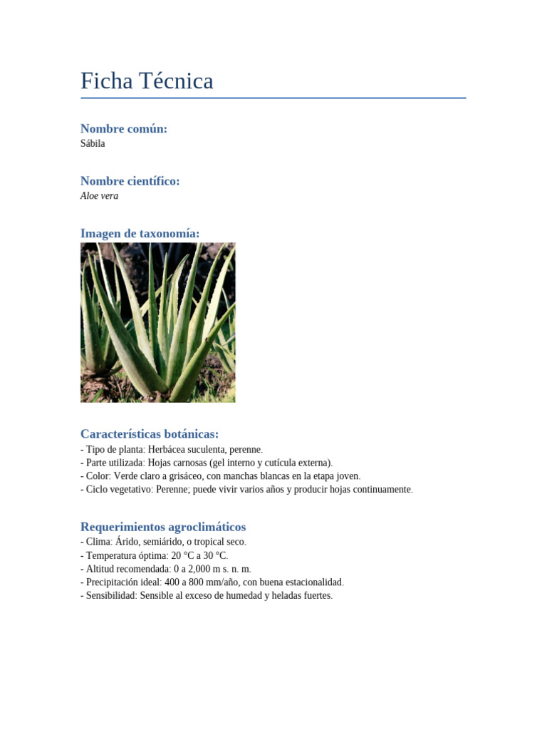Ficha Tecnica Sabila | PDF