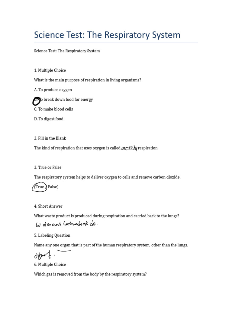 Respiratory System Test | PDF