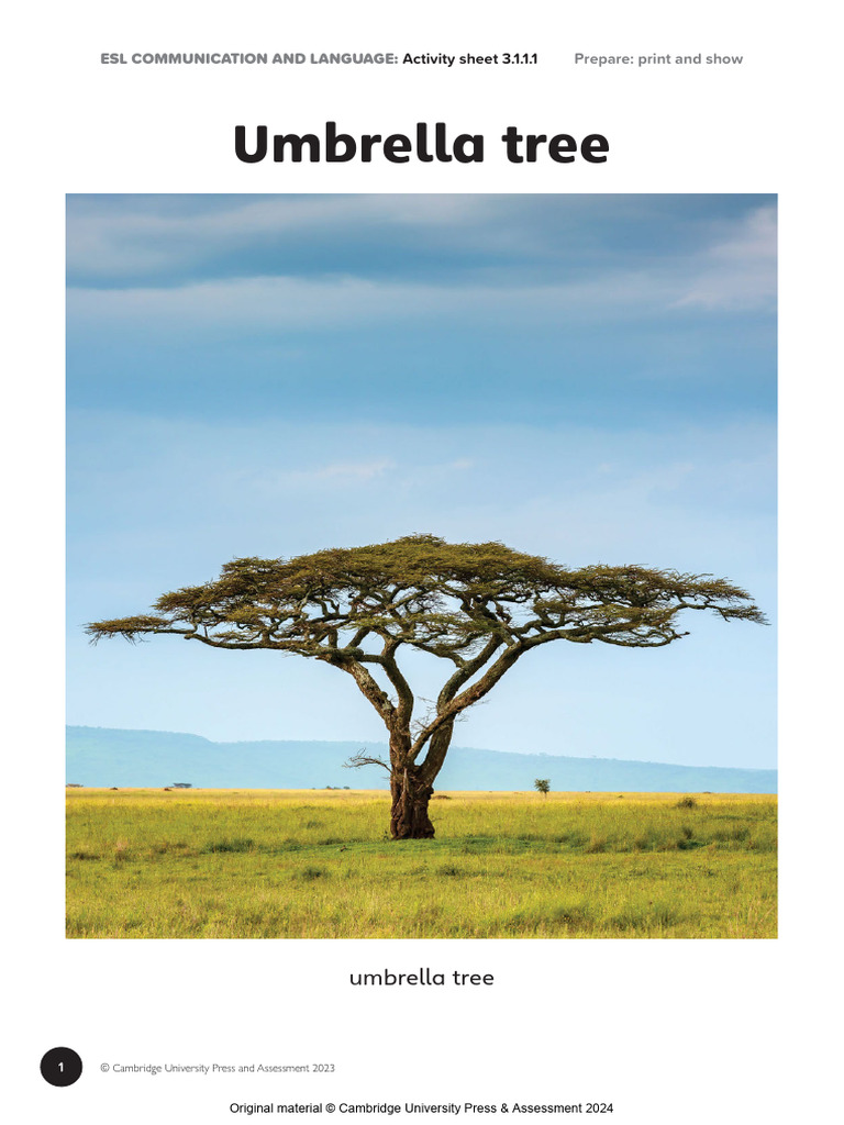 ESL Activity Sheets 3 Block 1 | PDF