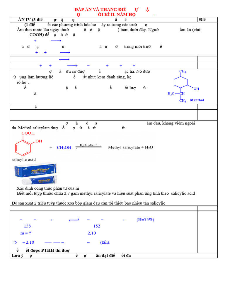 HDC - Hoa 11 - Thi HKII - 2024-2025 | PDF
