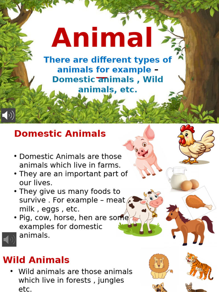 Araina Anand 4C | PDF