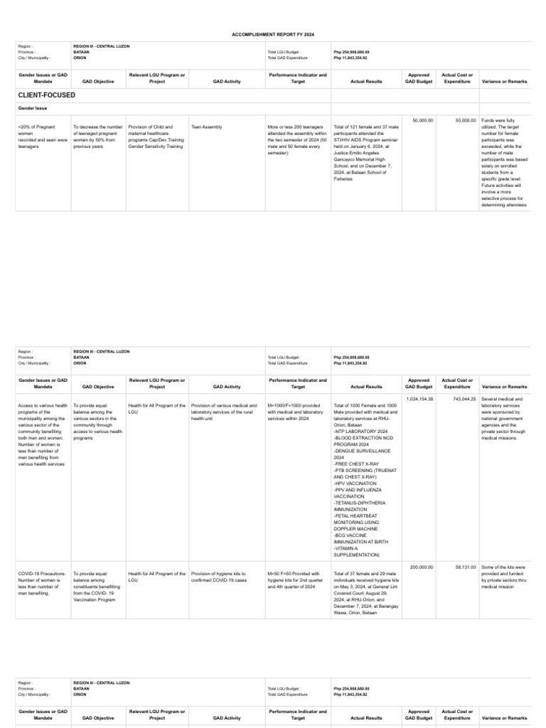 Annual GAD Accomplishment Reports-2024 | PDF