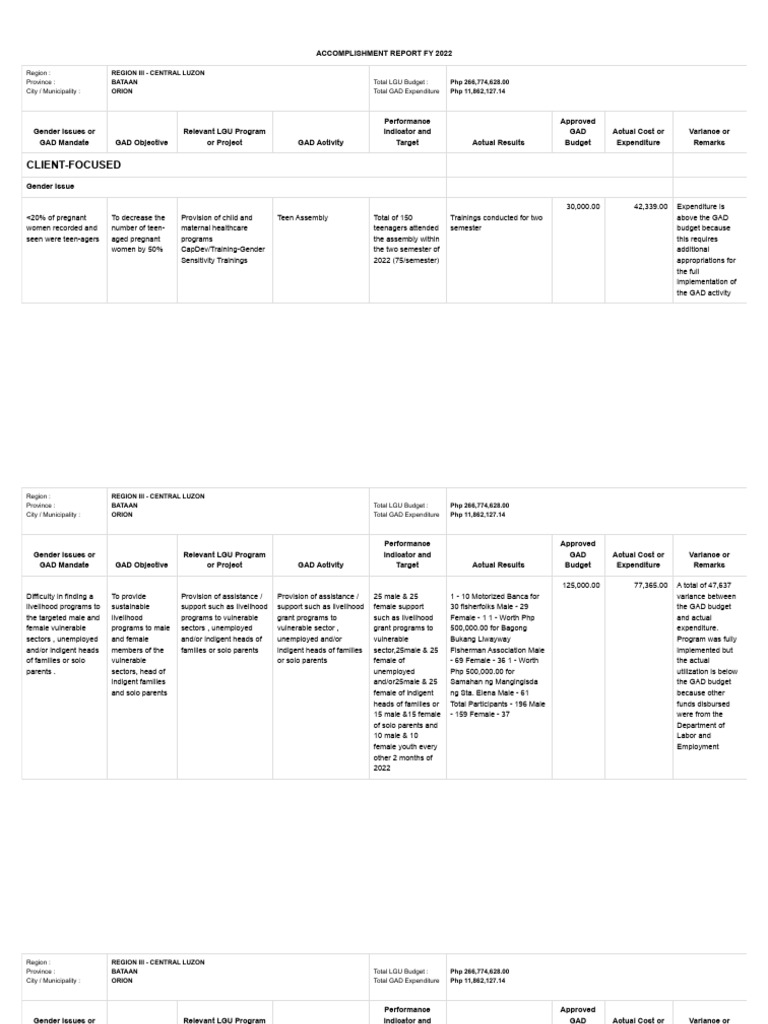Annual GAD Accomplishment Reports-2022 | PDF