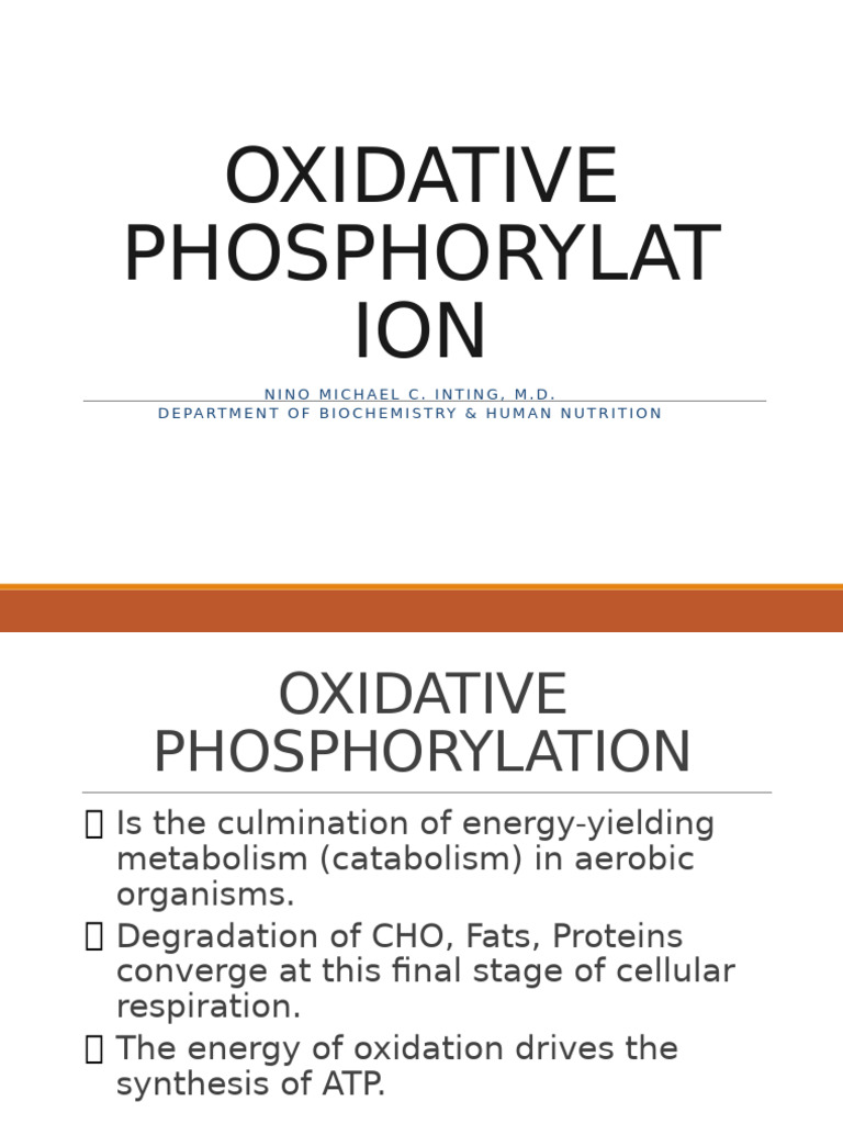 Understanding Oxidative Phosphorylation | PDF | Cellular Respiration ...