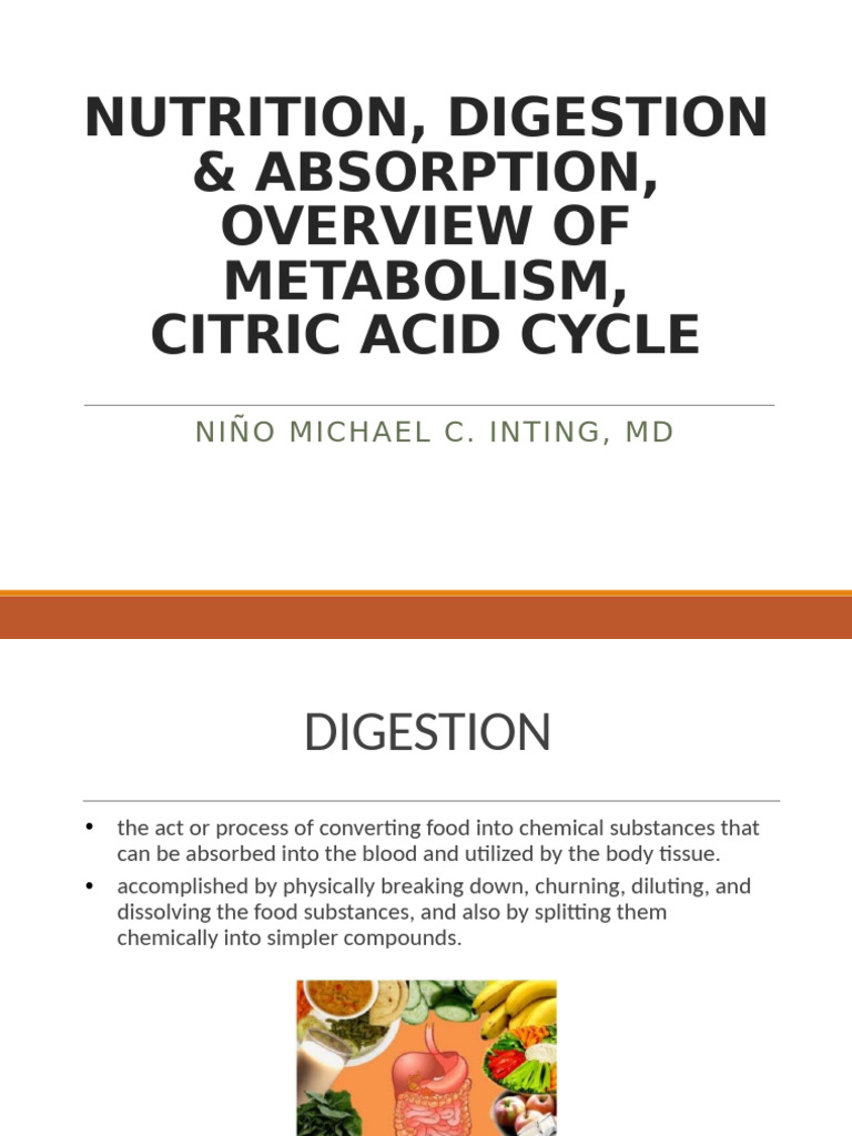 Nutrition, Digestion & Absorption, Overview & Tca | PDF | Diet ...