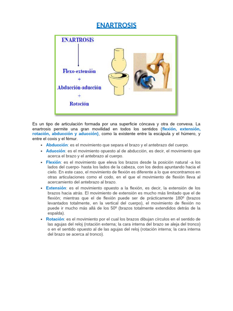 ENARTROSIS | PDF