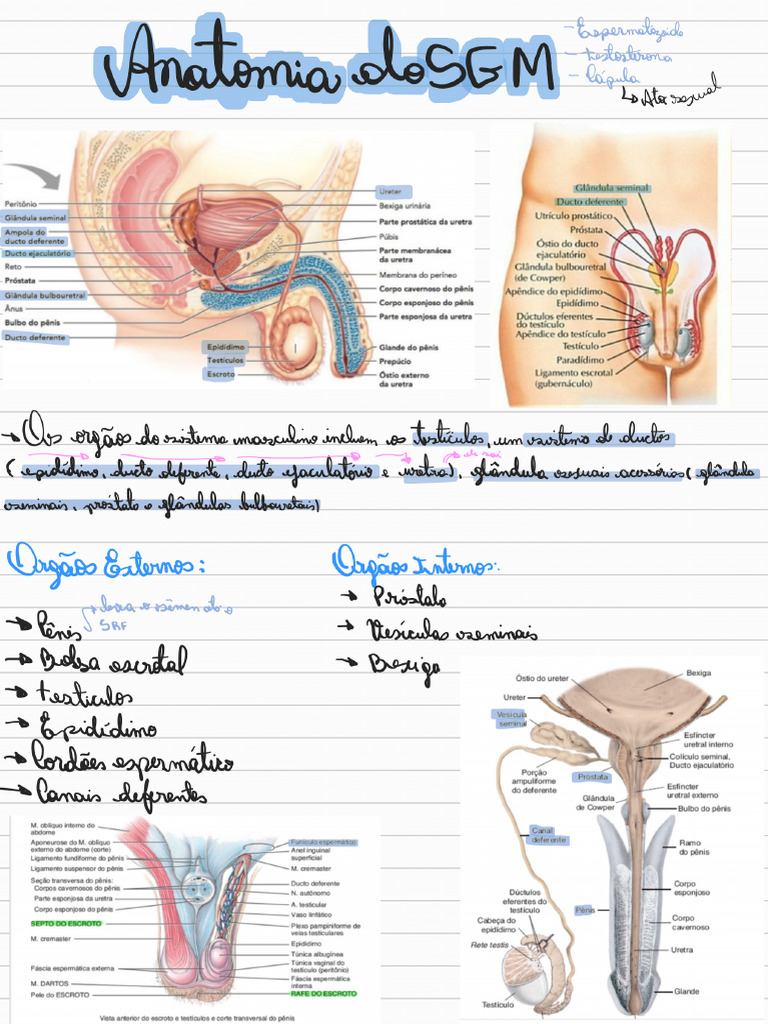 Caso 23 - 250526 - 003651 | PDF