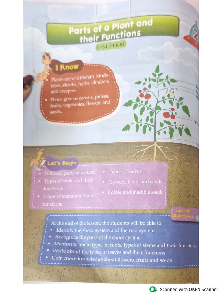 Complete ch-2 Class 3 | PDF