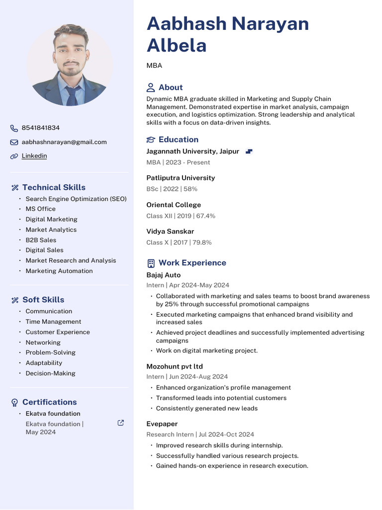 Aabhash Narayan Albela CV 1747 | PDF | Digital Marketing | Business