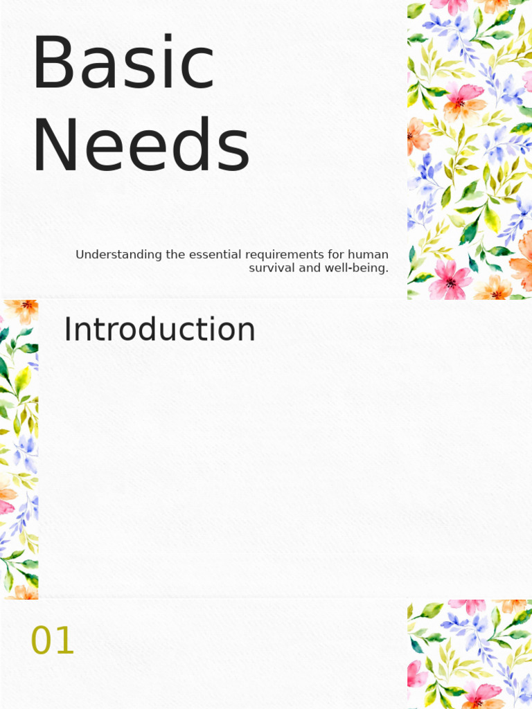 Basic Needs of A Human Being | PDF