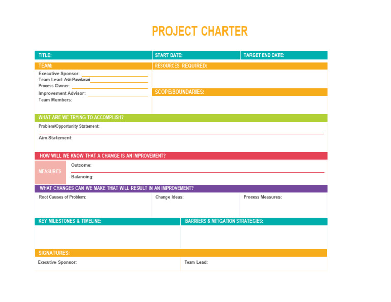 Project Charter | PDF