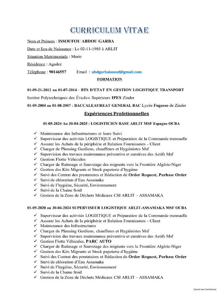 Curriculum Issoufou Abdou Ir | PDF