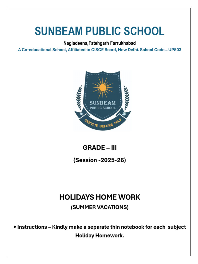 Summer Vacations Homework | PDF | Adjective | Plural