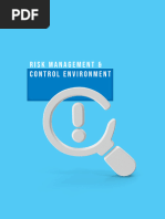 BNM's Enterprise Risk Management Framework | PDF | Internal Audit ...