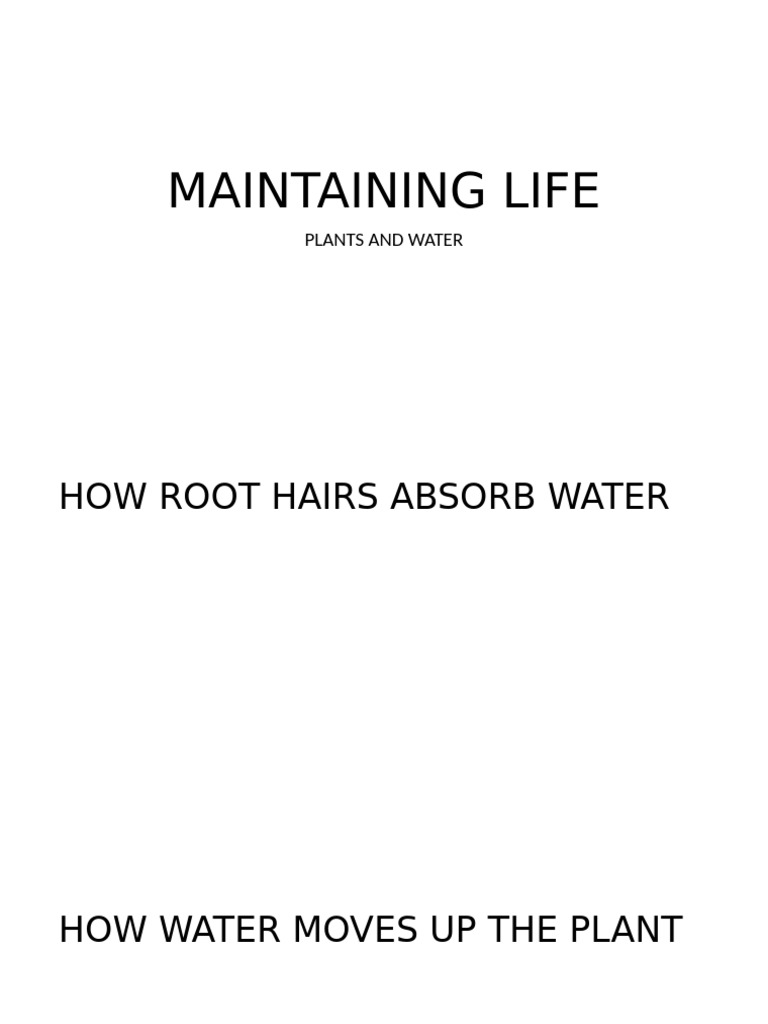 Maintaining Life | PDF