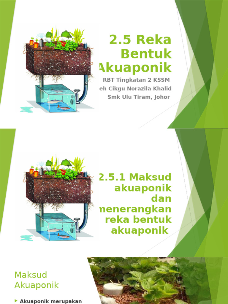RBT T2 Bab 2 2.5 Reka Bentuk Akuaponik | PDF