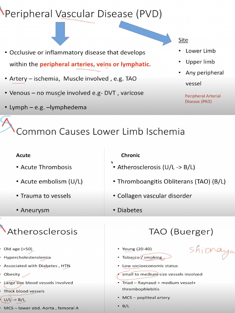 AS - PVD History & Examination 4 | PDF | Ischemia | Human Leg