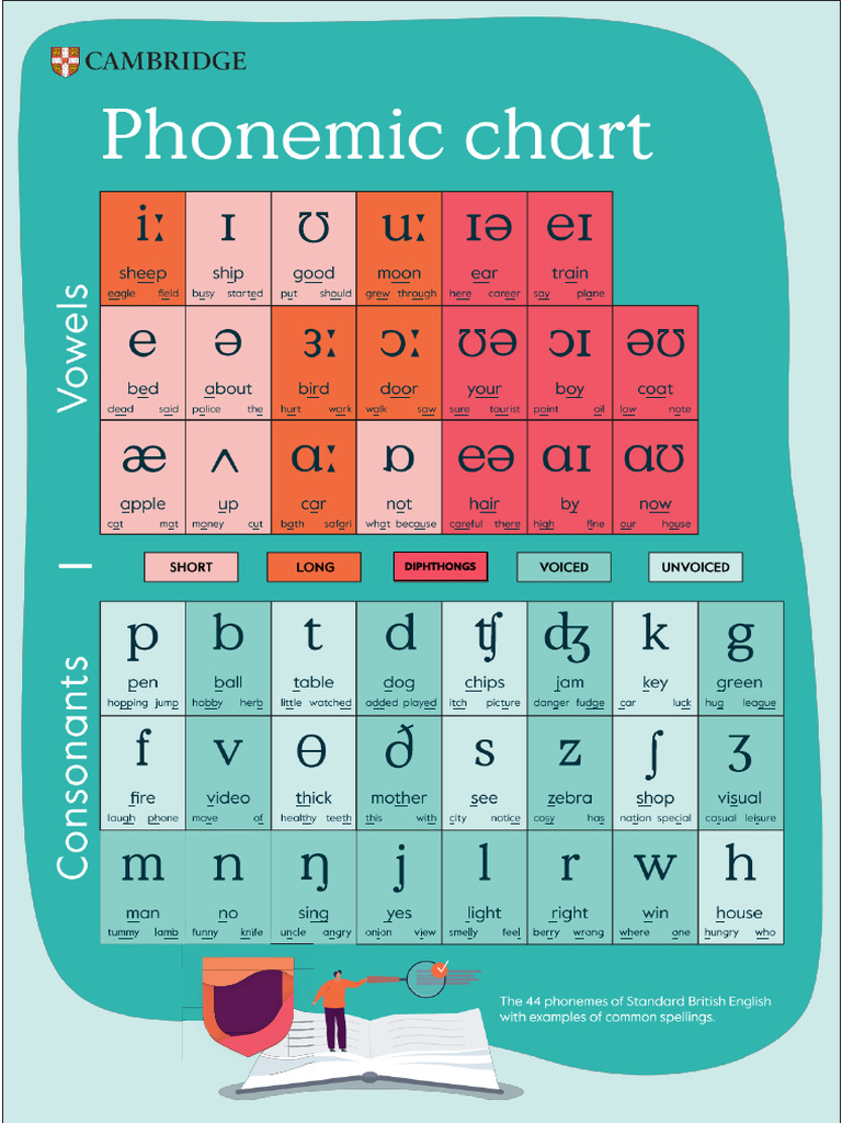 Phonemic Chart A3 | PDF