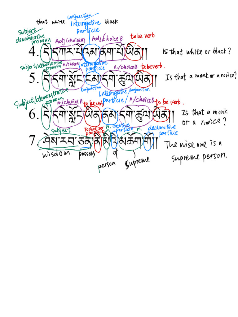 Assignment 1121 | PDF | Linguistic Typology | Semantics