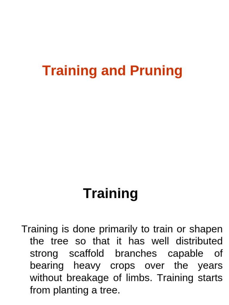 L-4 Training and Pruning | PDF | Pruning | Trees