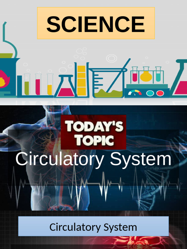Circulatory System | PDF