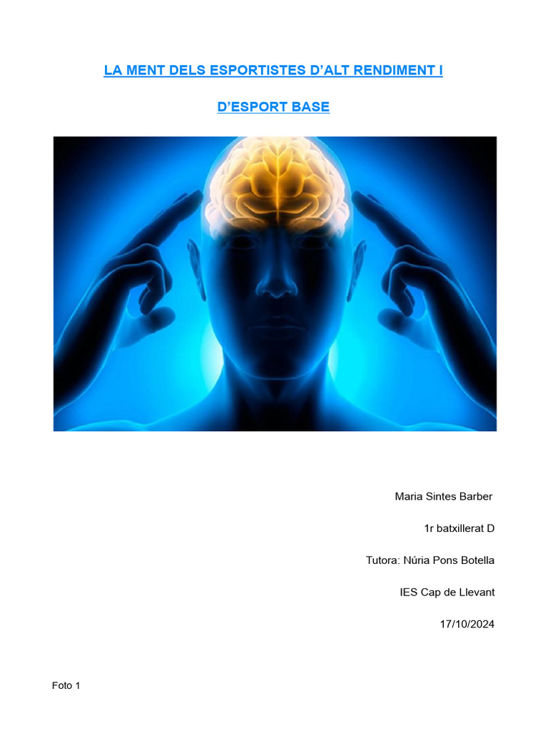 TRB Entrega Final | PDF