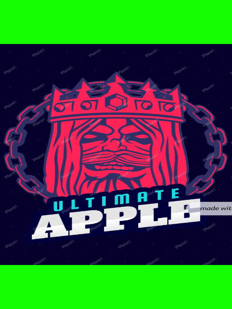 Nischal 2025 Portfolio LOGO Design | PDF