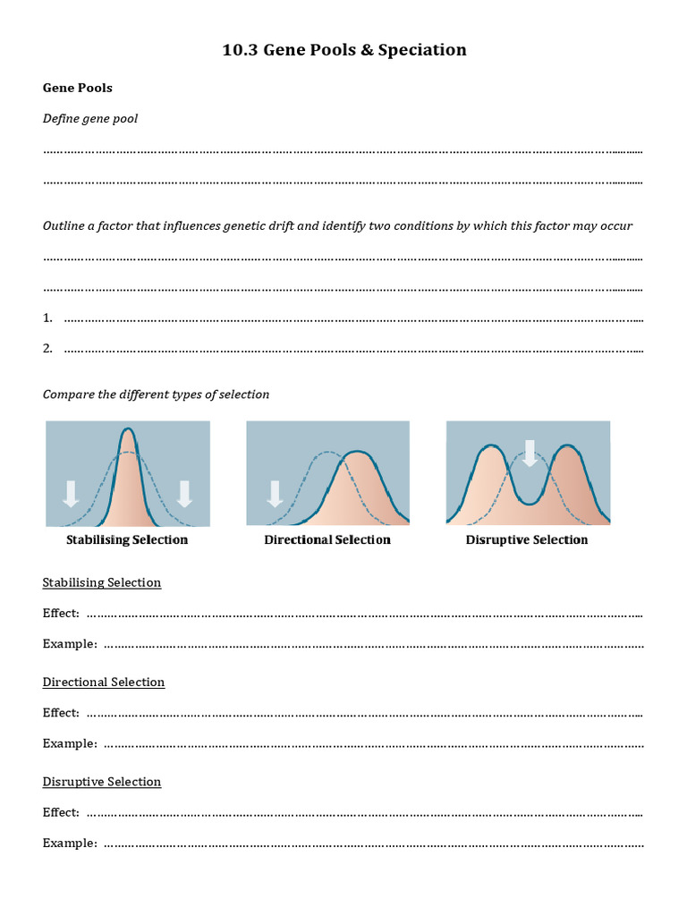 39 DP Plan Topic 10.3 Worksheet | PDF | Evolution | Biology