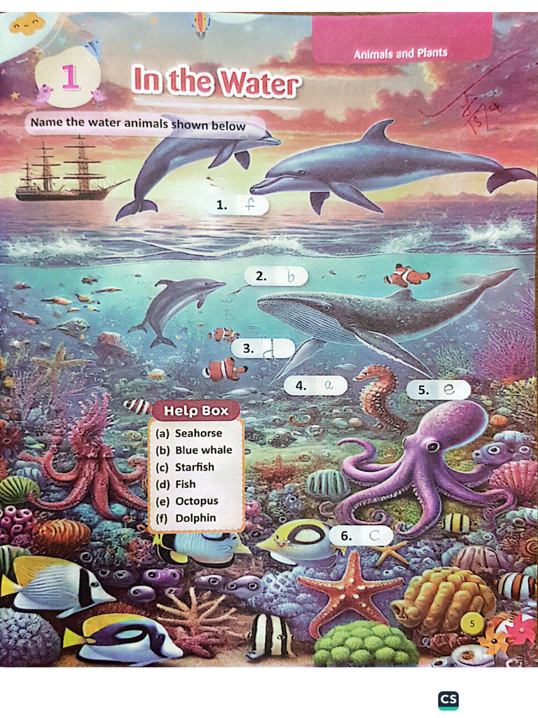 G.K STD 1 2025 - 26 | PDF