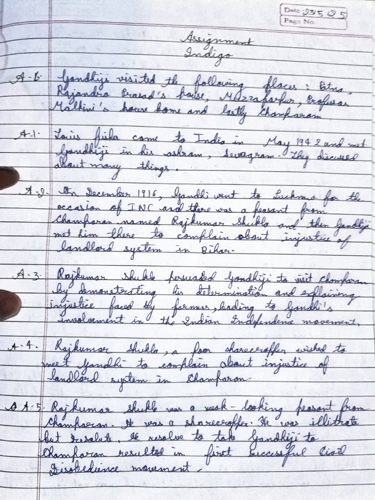 Assignment (Indigo) 23-May-2025 20-34-36 | PDF