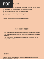 Specialised Animal Cells - Living Organisms - KS3 Biology - BBC ...