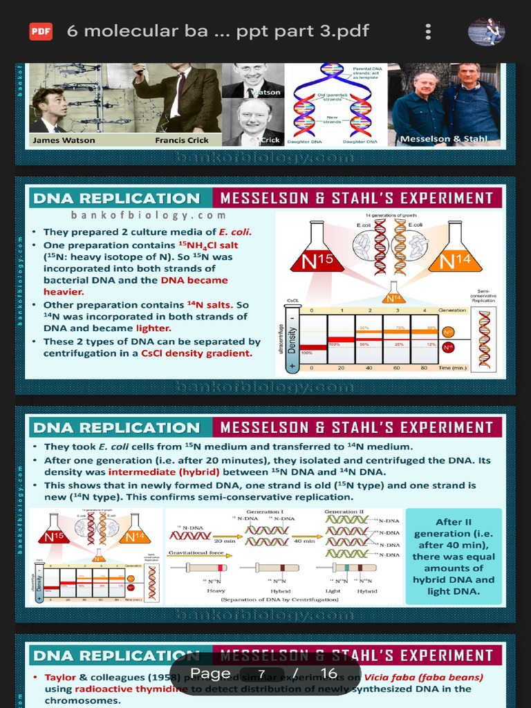 6 Molecular Basis of Inheritance PPT Part 3.PDF - 2 | PDF | Dna ...