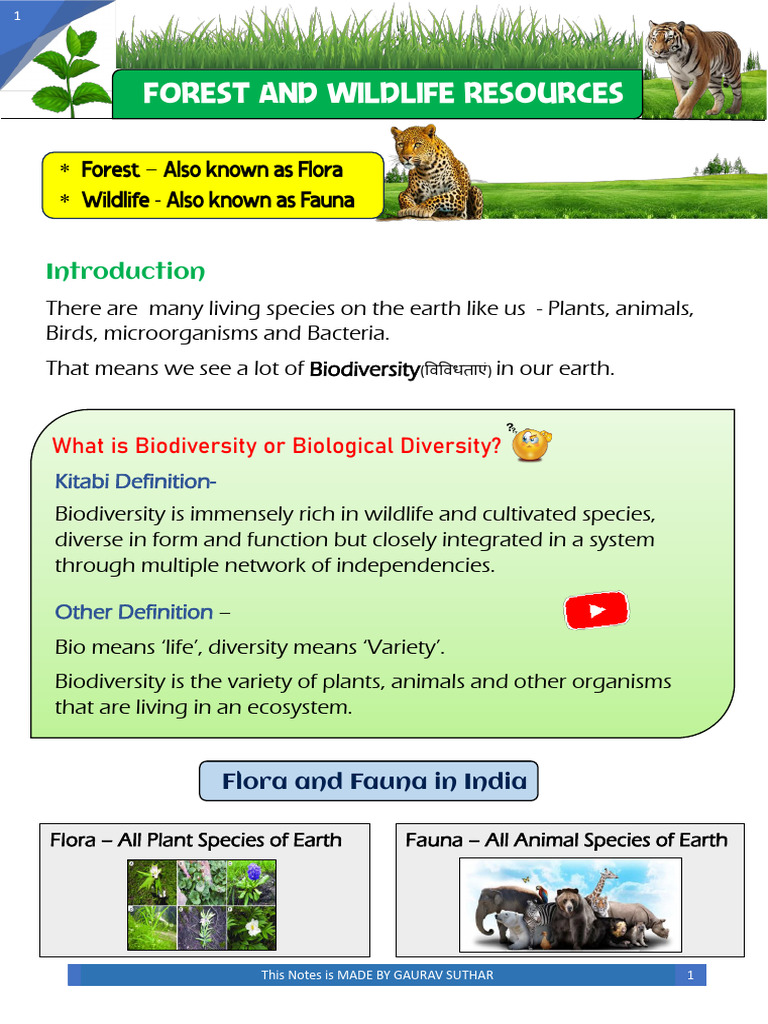 Forest and Wildlife Conservation in India | PDF | Biodiversity | Soil