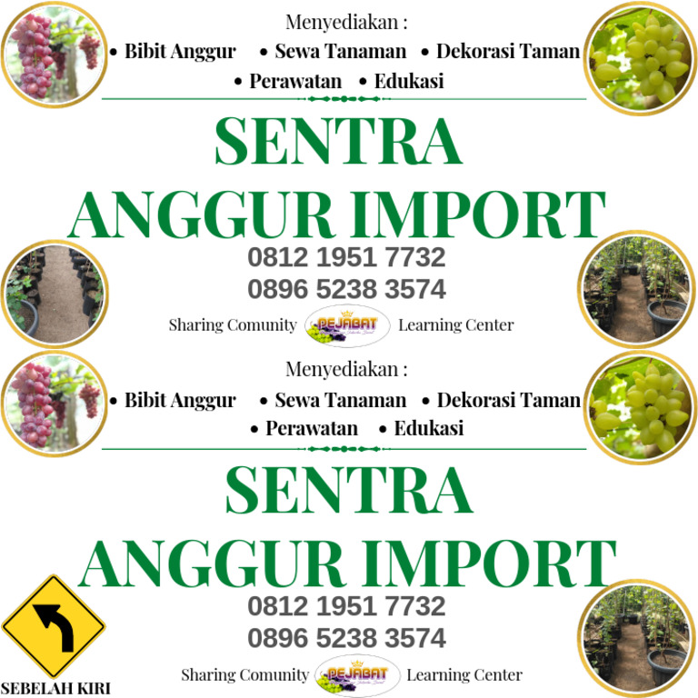 Revisi Banner Anggur | PDF