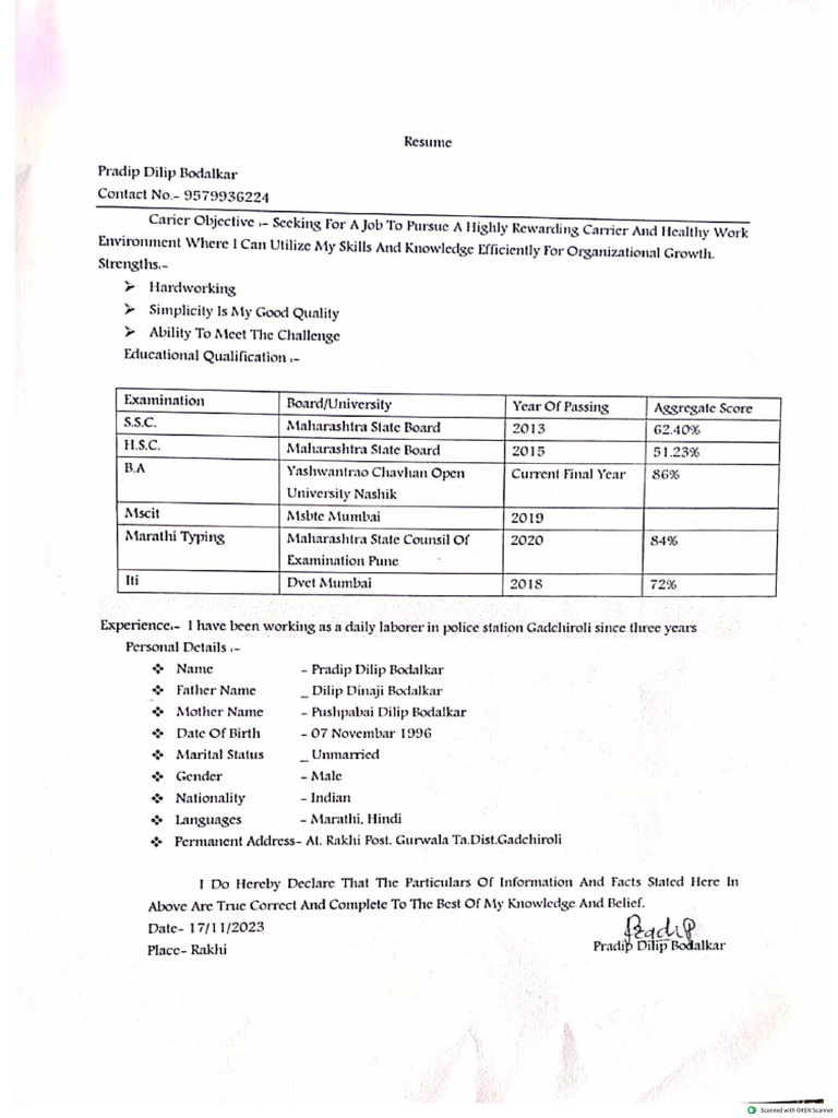 Resume P | PDF