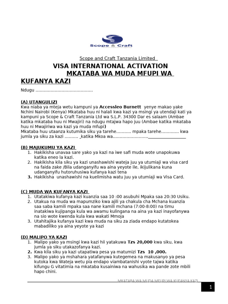 Visa Contract | PDF